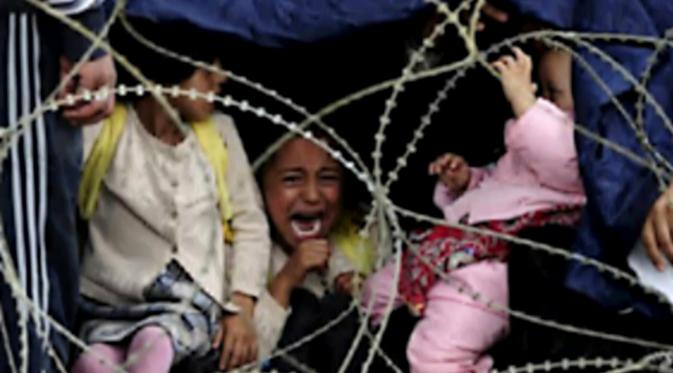 Refugees: Examining Pros and Cons on Allowing Them into Our Land ...